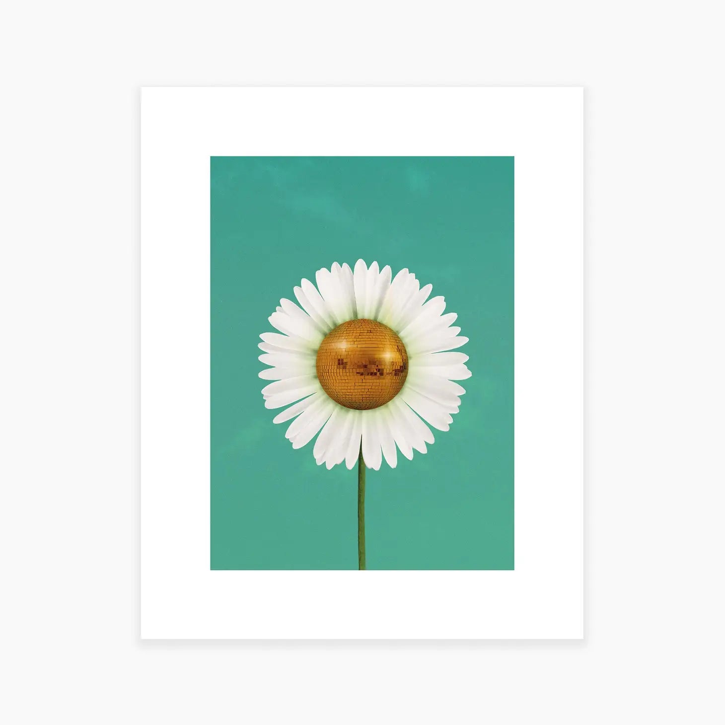 Daisy Disco Art Print – Funktified